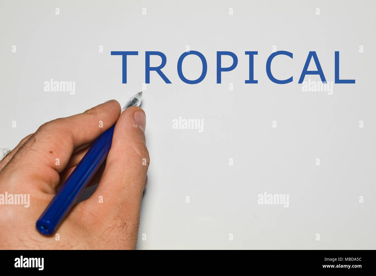 tropical word written on white paper Stock Photo - Alamy