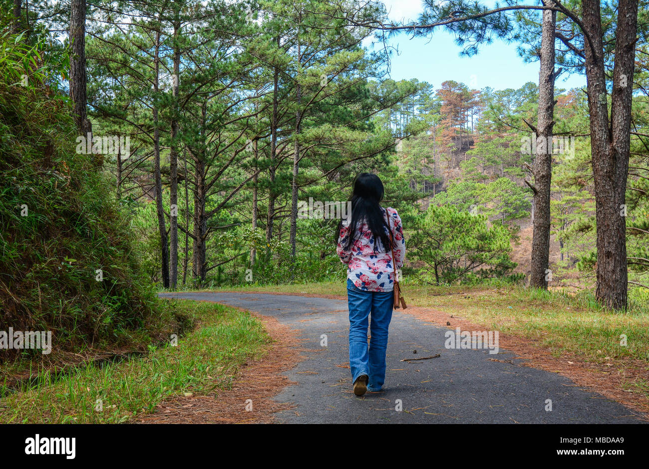 People walking on trail at pine tree forest in summer day Stock Photo ...