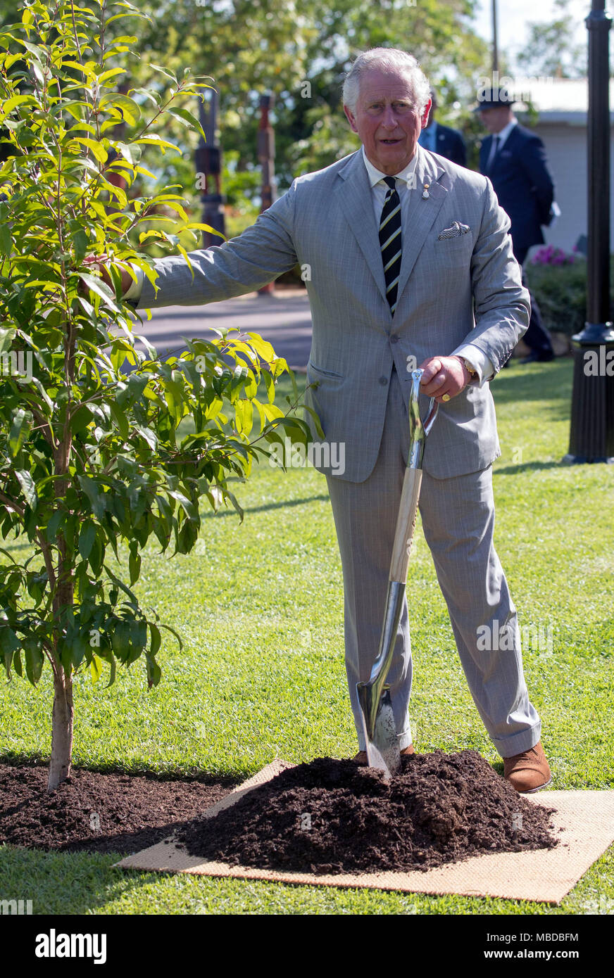 The Prince of Wales The Prince of Wales plants a tree after attending a ...