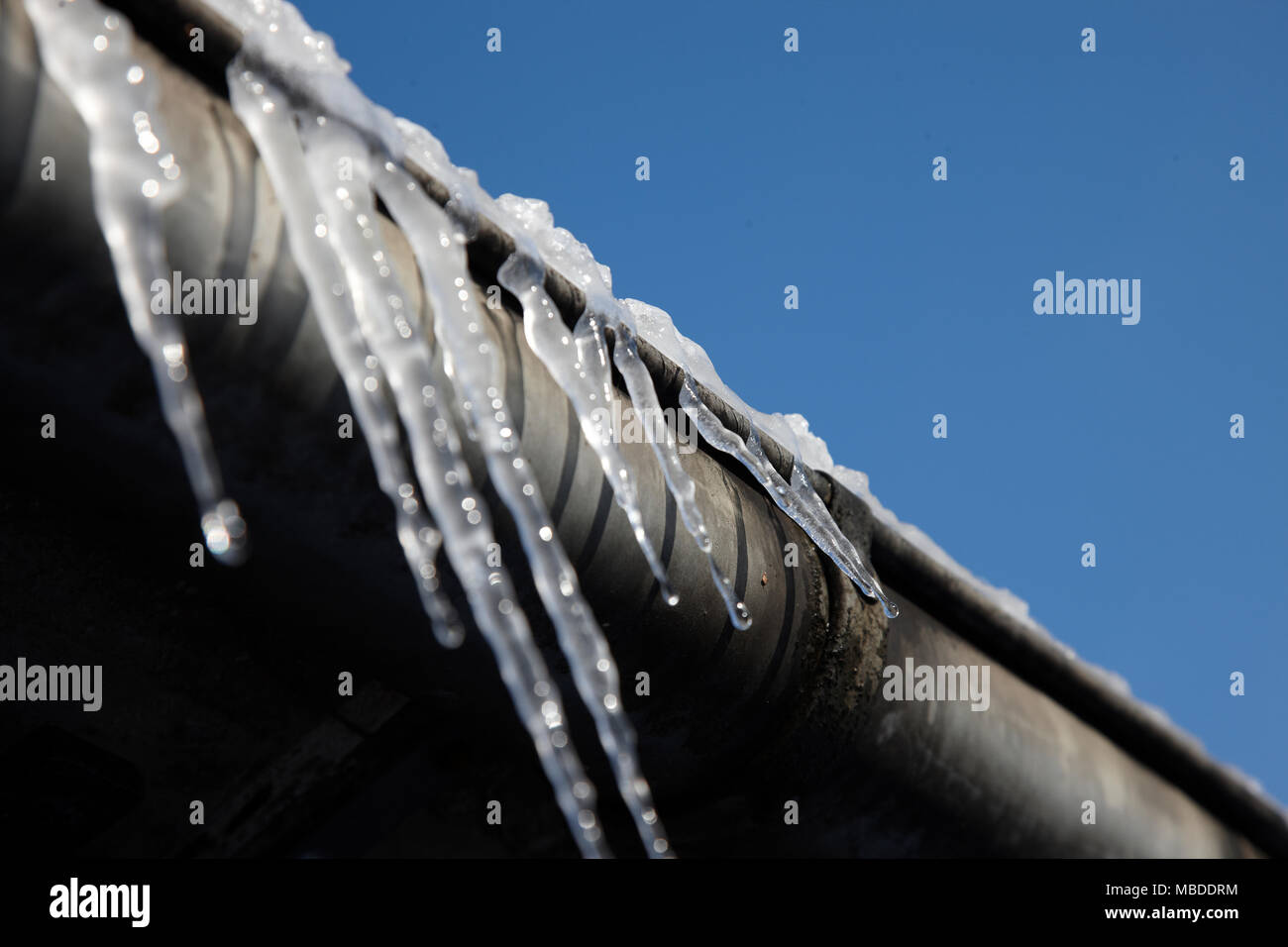 Icicle in the eaves spout with a blue sky background Stock Photo - Alamy