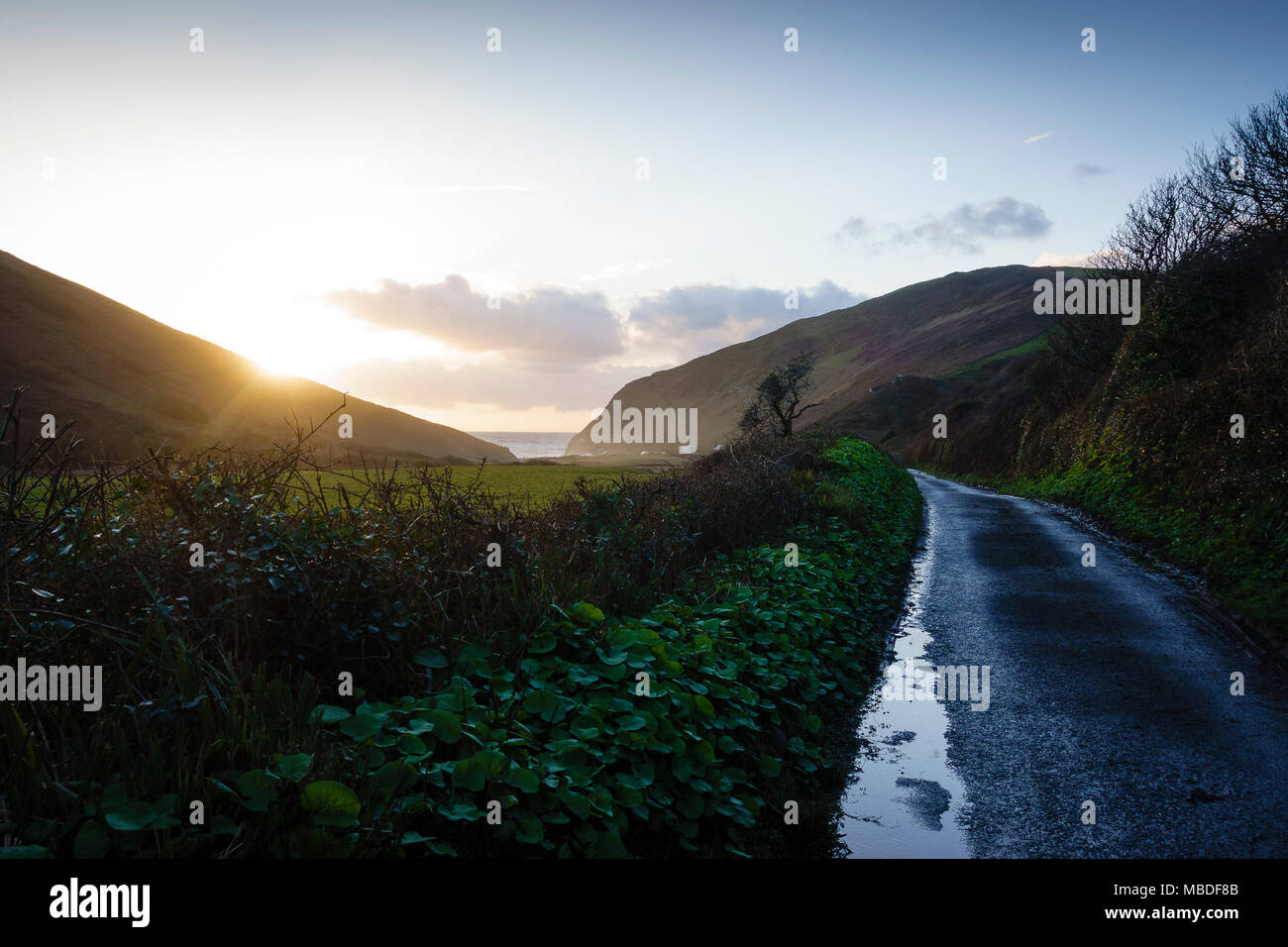 Duckpool hi-res stock photography and images - Alamy