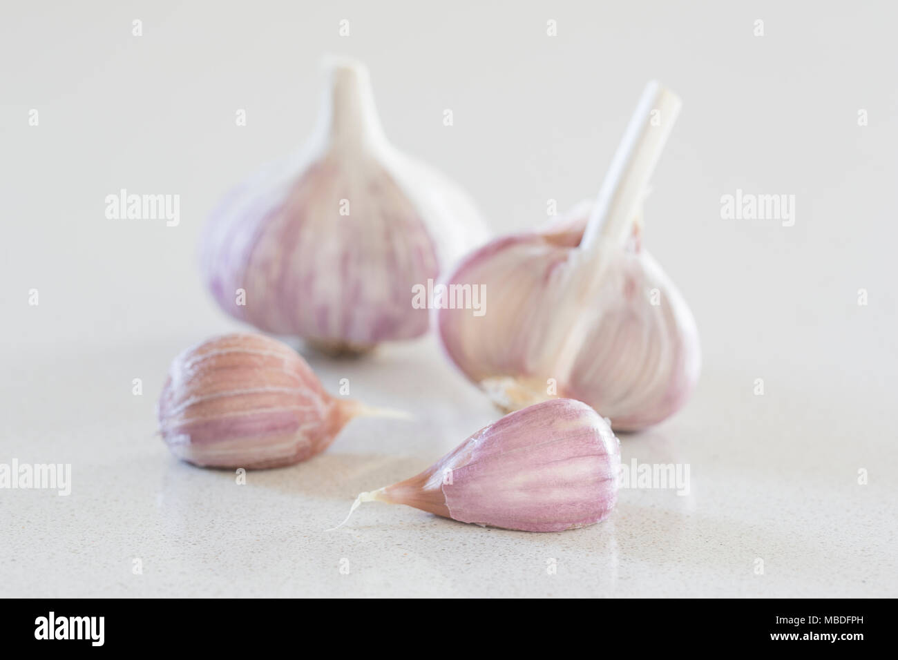 Garlic allium sativum bulbous hi-res stock photography and images - Alamy