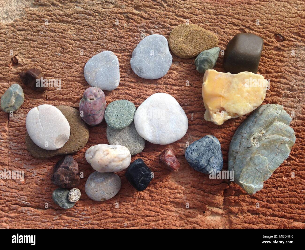 Garden gravel pebbles hi-res stock photography and images - Alamy