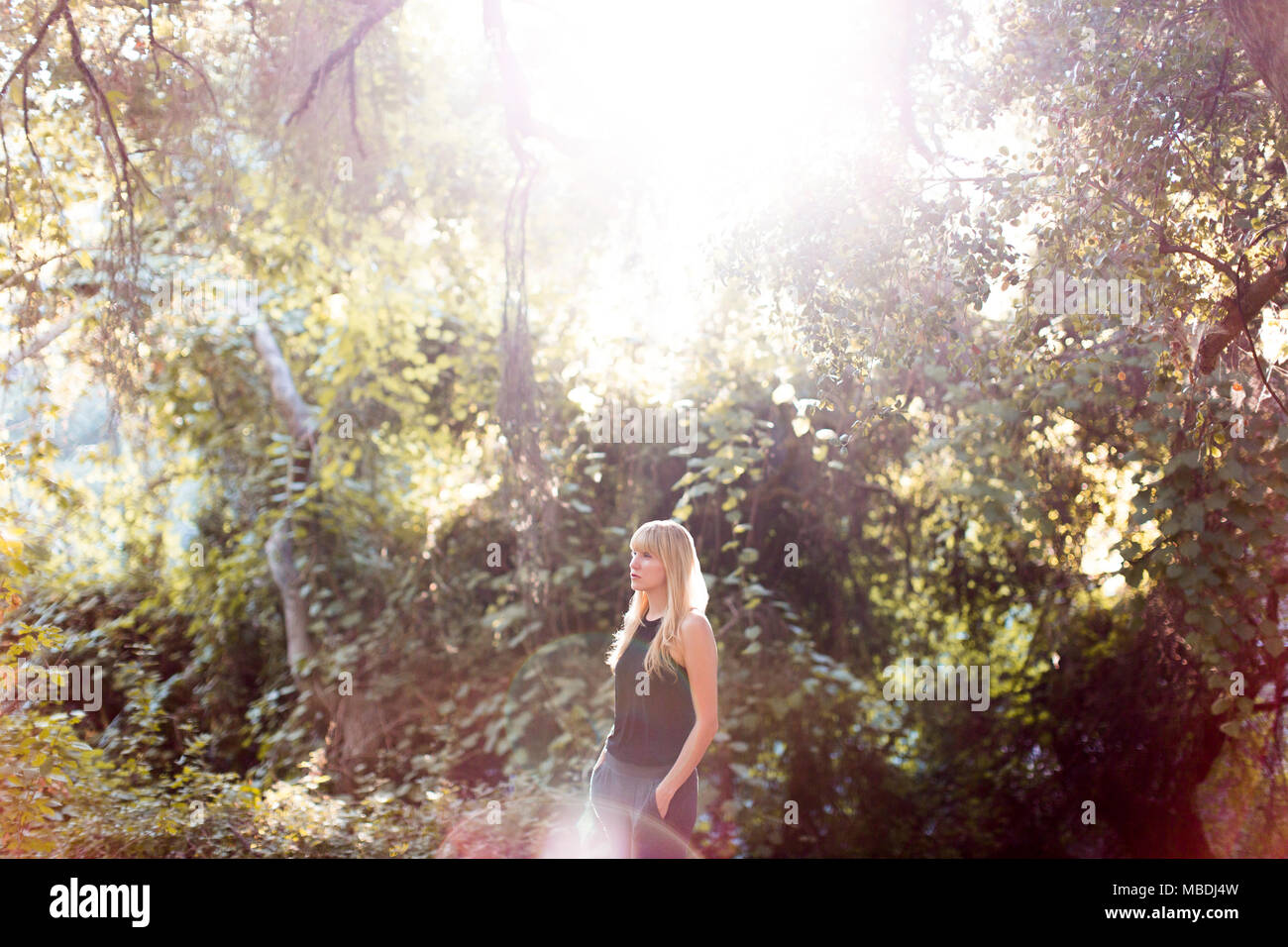 Mature woman in woods hi-res stock photography and images - Alamy