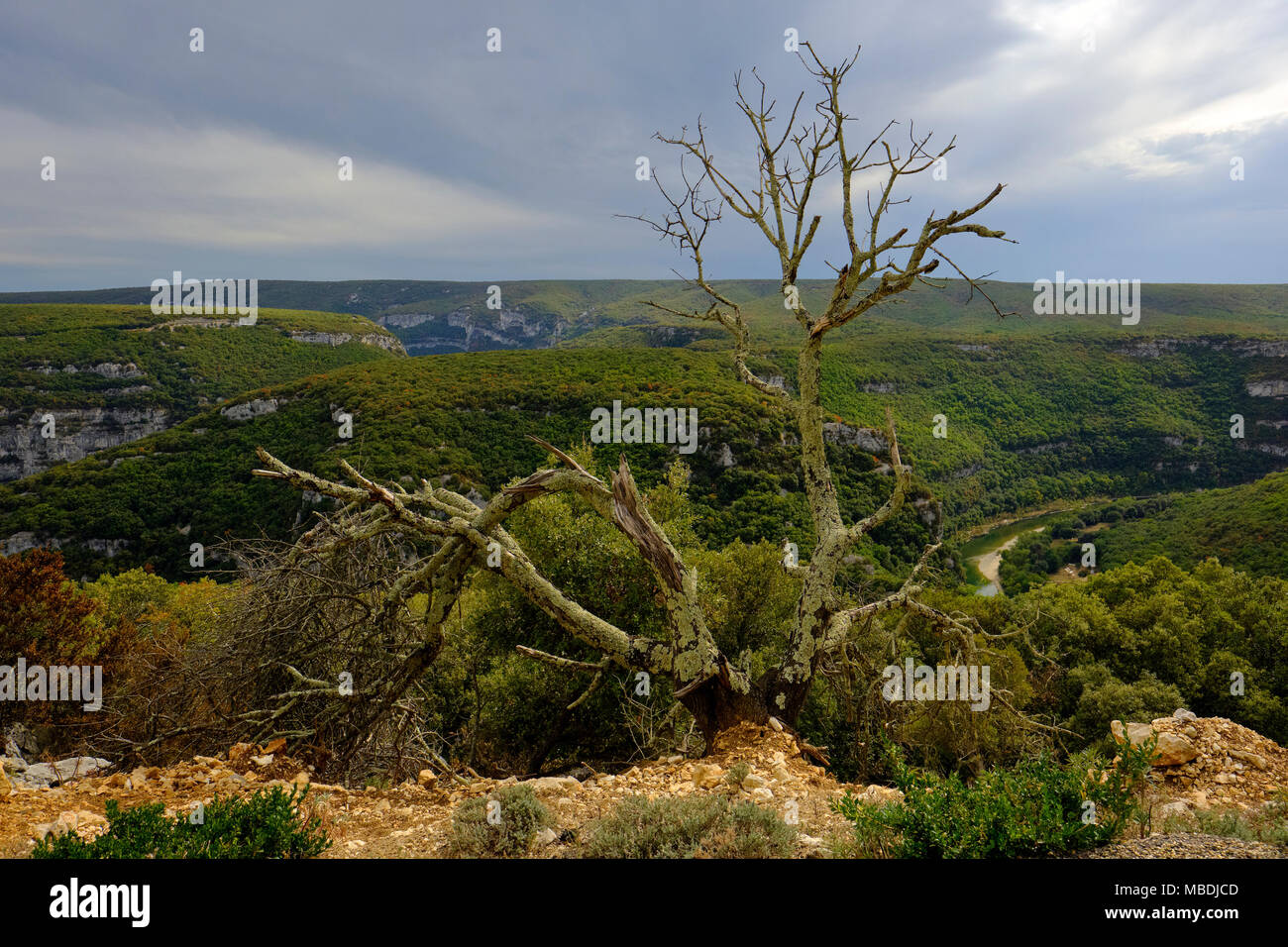 The spectacular limestone landscape of the Gorges de l'Ardeche in the ...