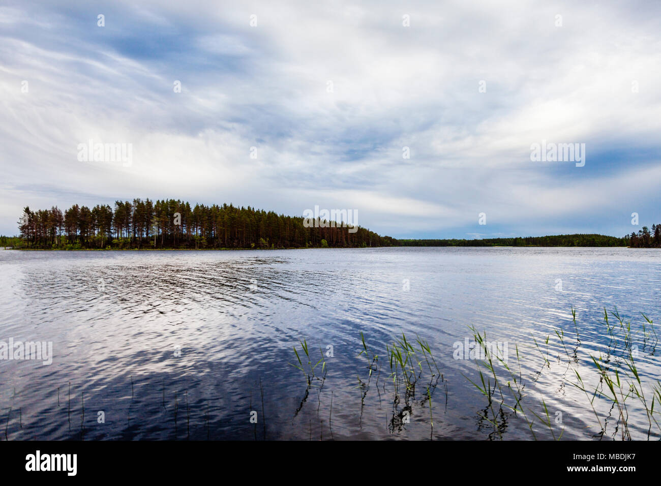Lake, Summertime, Mid Sweden Stock Photo - Alamy