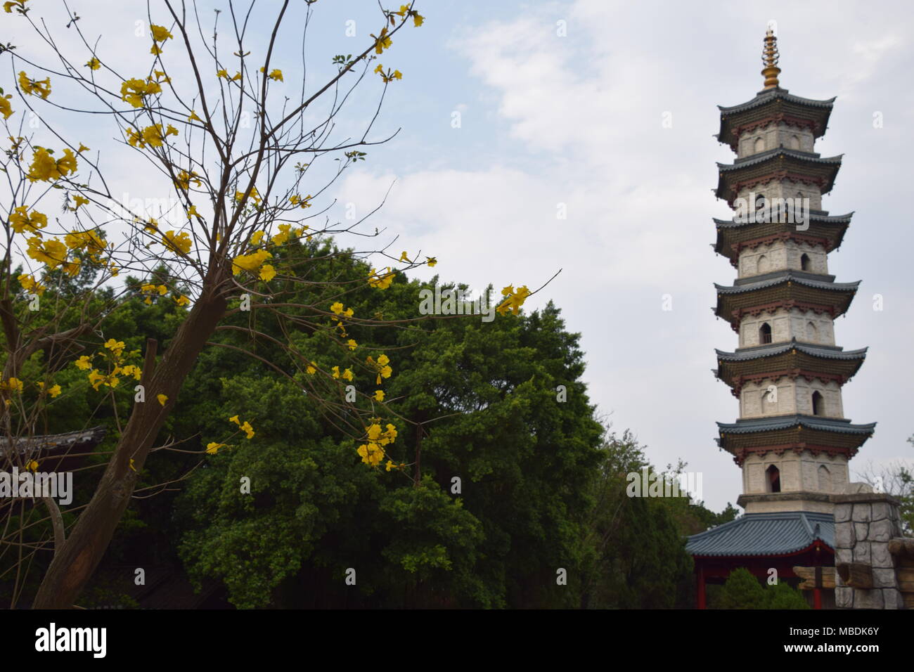 Chinese Pagoda In Spring Stock Photo - Alamy