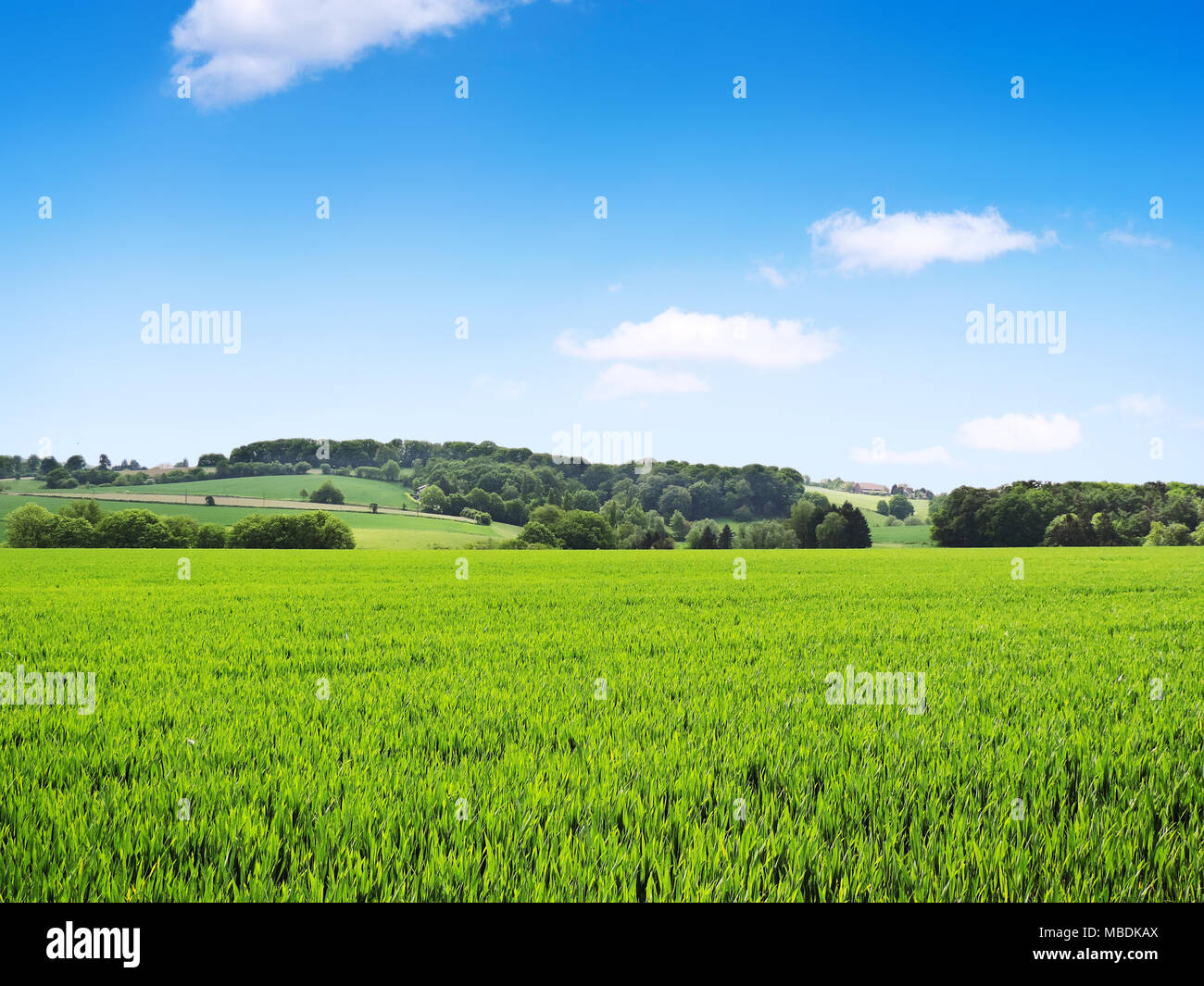 Farming green fields hi-res stock photography and images - Alamy
