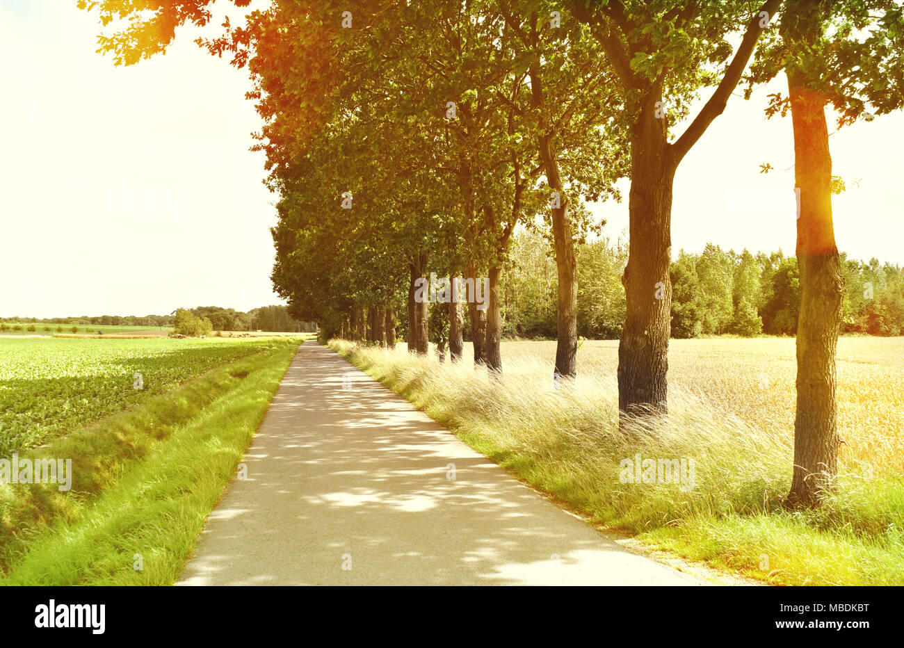 Country road or idyllic path through fields and forest. Countryside ...