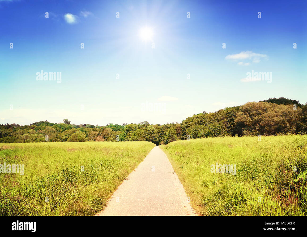 Country road or idyllic path through fields and forest. Countryside ...