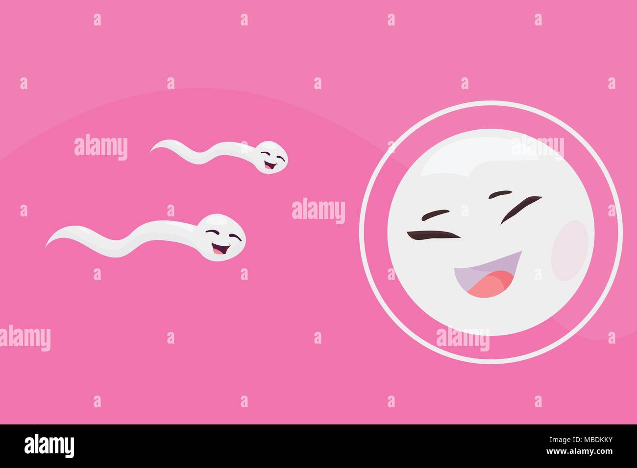 Fertilization of the ovum by the spermatozoon. Sperm and cells in ...