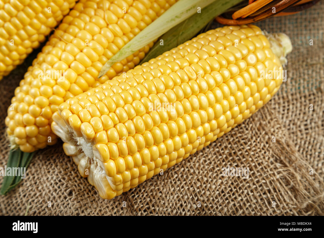Heads of corn hi-res stock photography and images - Alamy