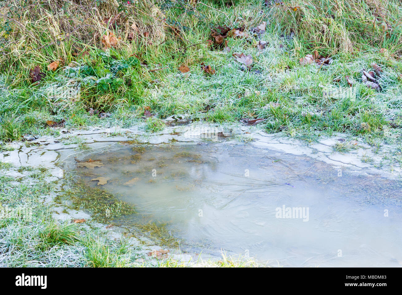 A frozen puddle Stock Photo - Alamy
