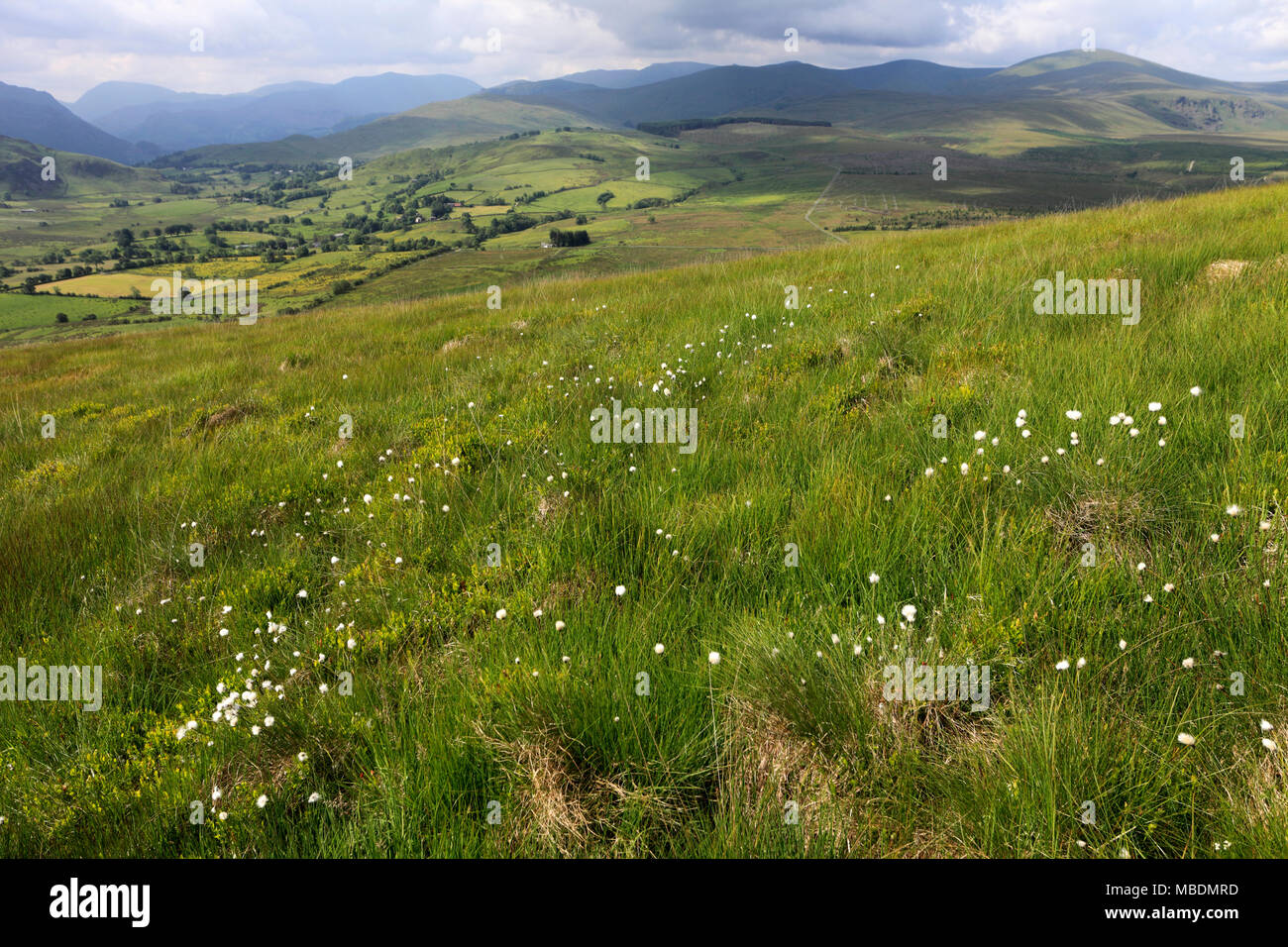 Summer view through the Matterdale valley, Lake District National Park ...