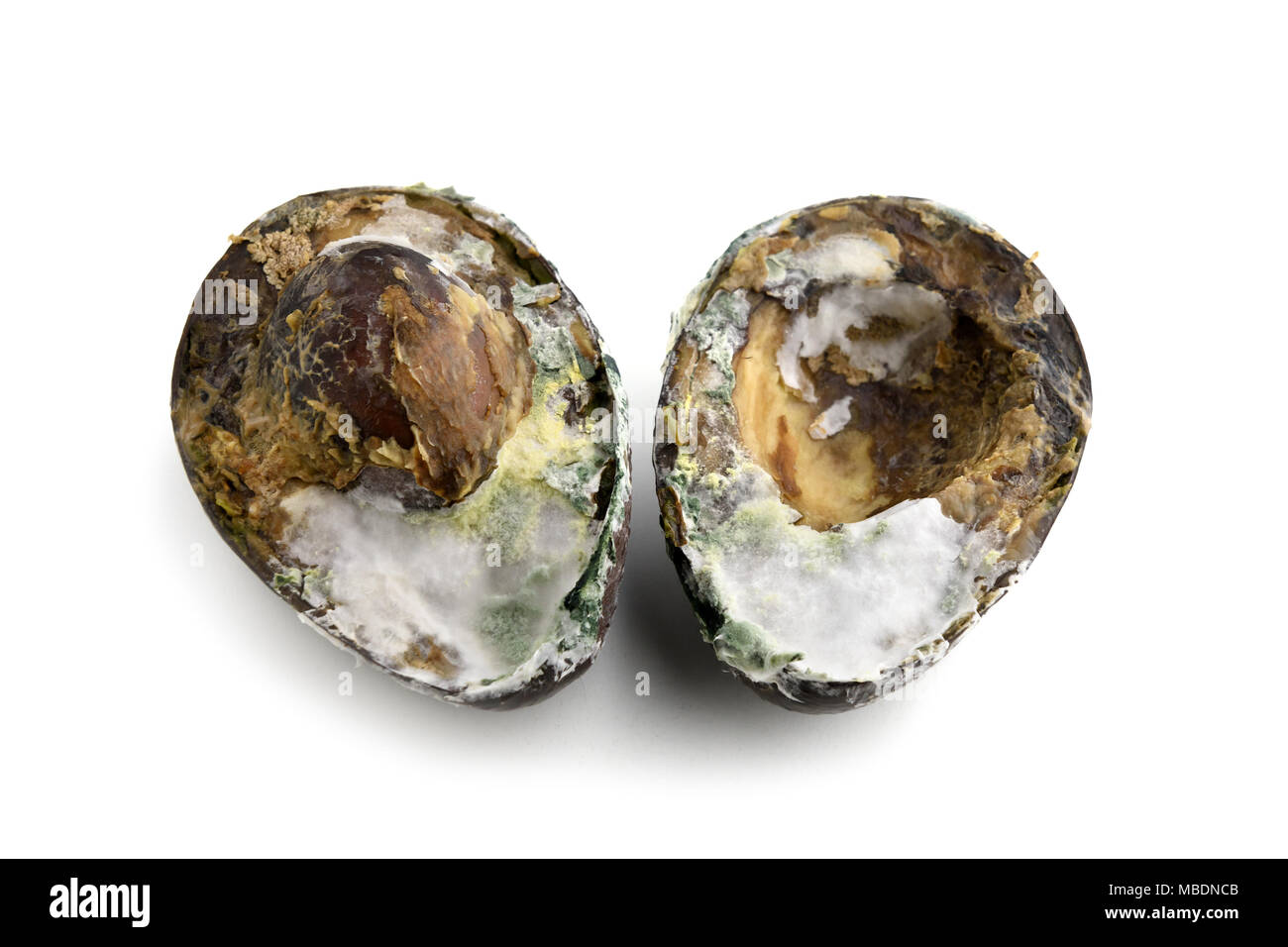 Rotten spoiled avocado isolated Stock Photo - Alamy