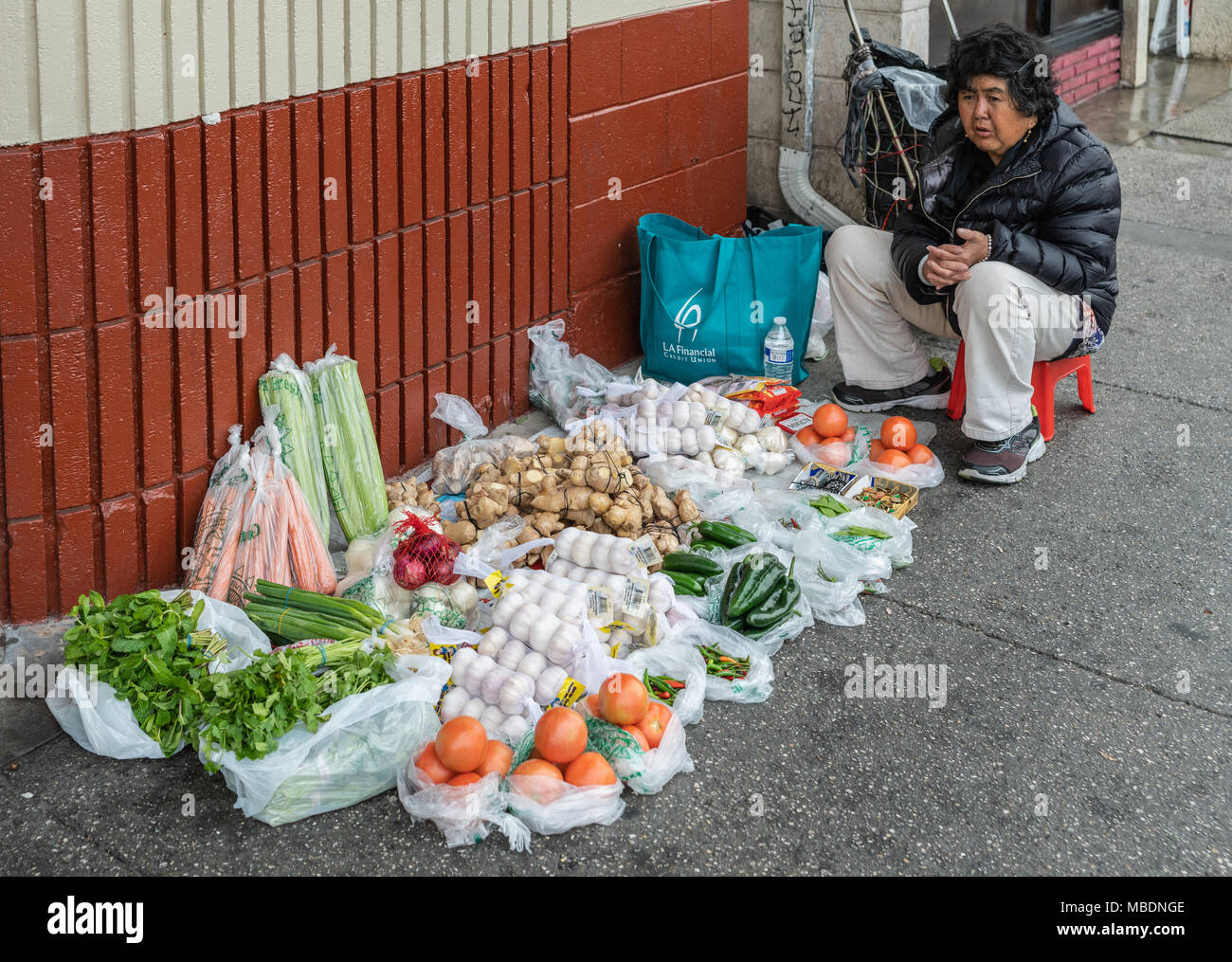 Los Angeles, CA, USA - April 5, 2018: Female street vendor sits along ...