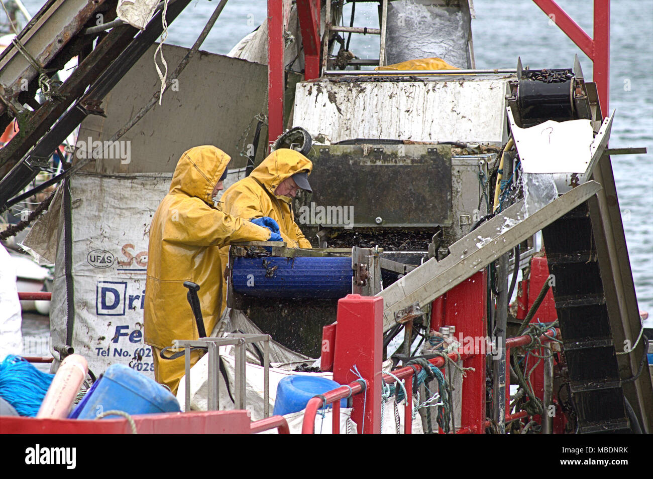 Mussel farm hi-res stock photography and images - Alamy
