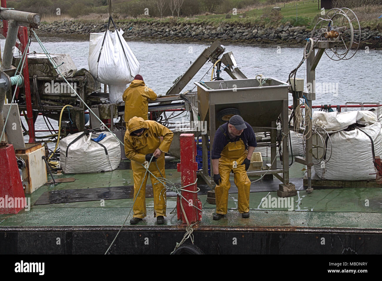 Mussel farm hi-res stock photography and images - Alamy