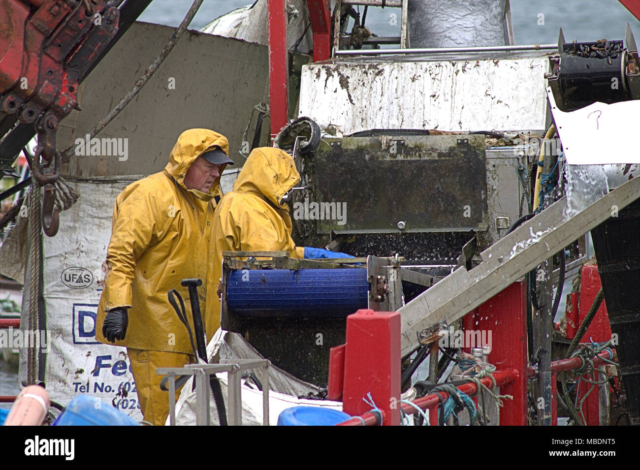 Mussel farm hi-res stock photography and images - Alamy