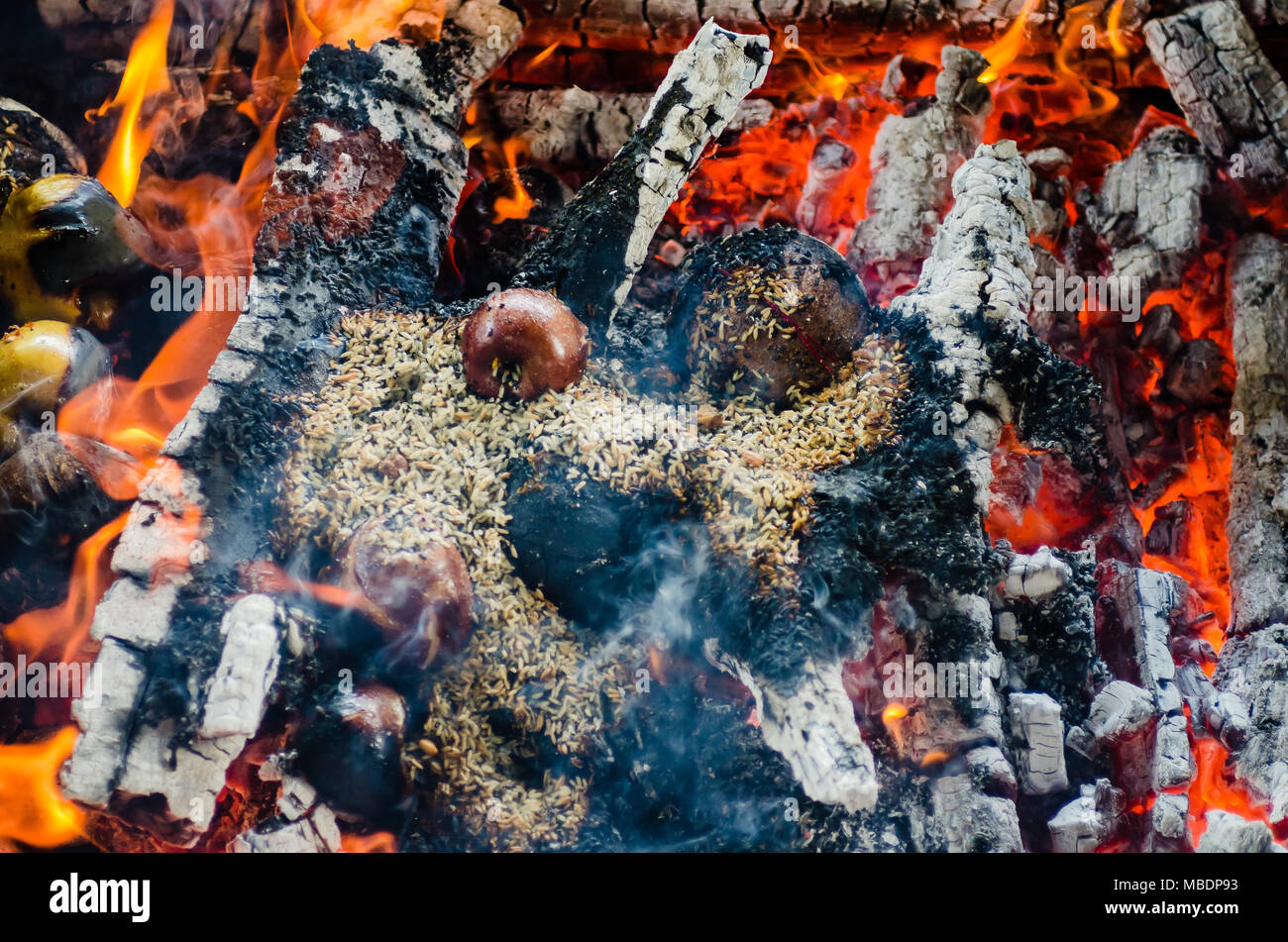 fire ceremony with offers of only vegetable origin during Guru Purnima ...