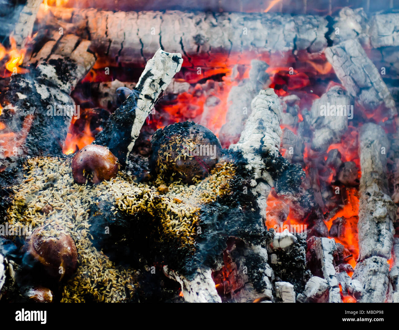 fire ceremony with offers of only vegetable origin during Guru Purnima ...