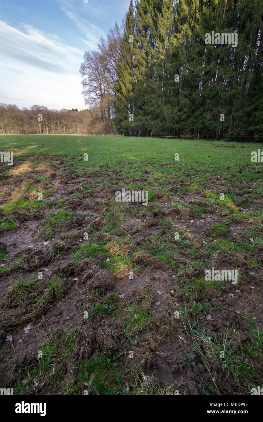 Destroyed Digging High Resolution Stock Photography and Images - Alamy