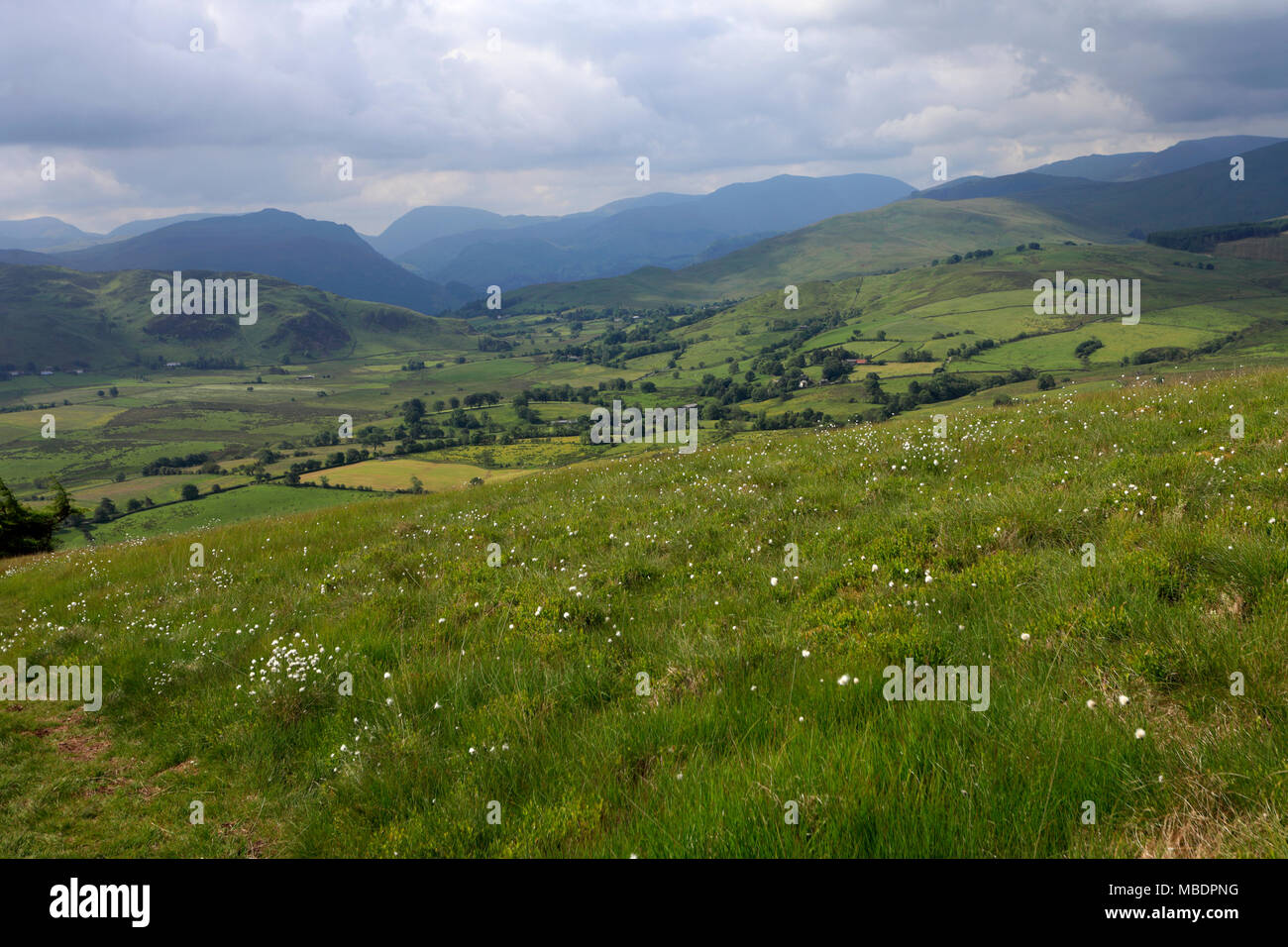 Summer view through the Matterdale valley, Lake District National Park ...