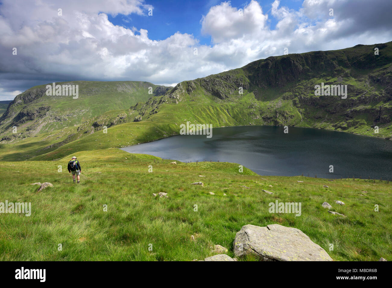 Blea summer hi-res stock photography and images - Alamy