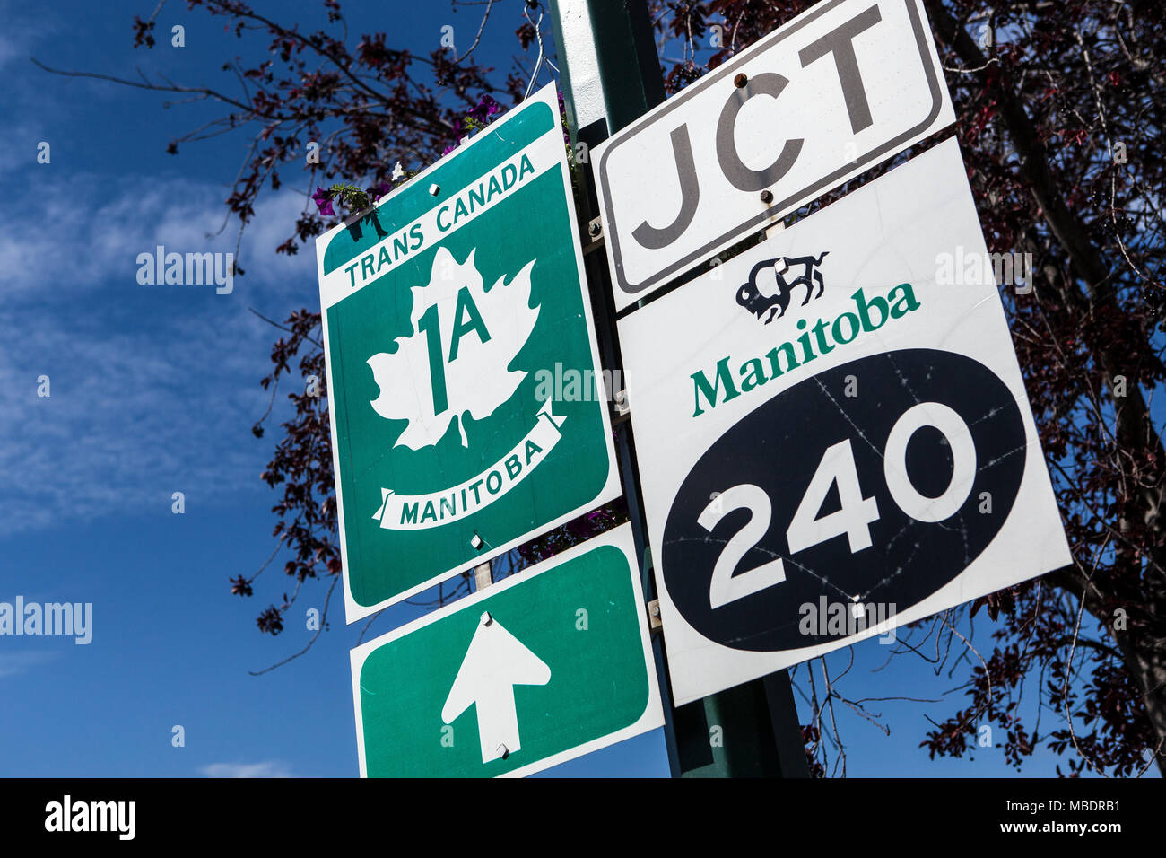 Highway sign trans canada highway hi-res stock photography and images ...