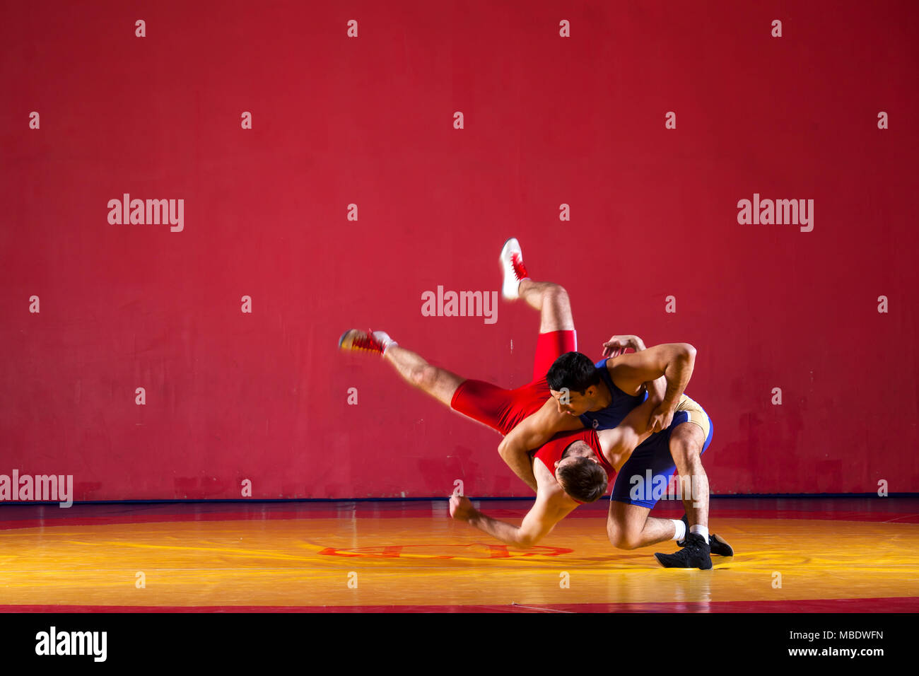 Two strong wrestlers in blue wrestling tights are wrestlng and making a ...