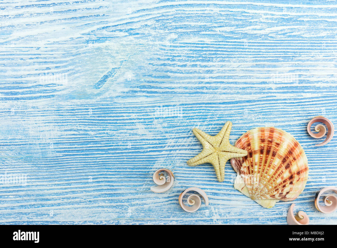 marine theme background. sea shells on blue shabby wooden boards with ...