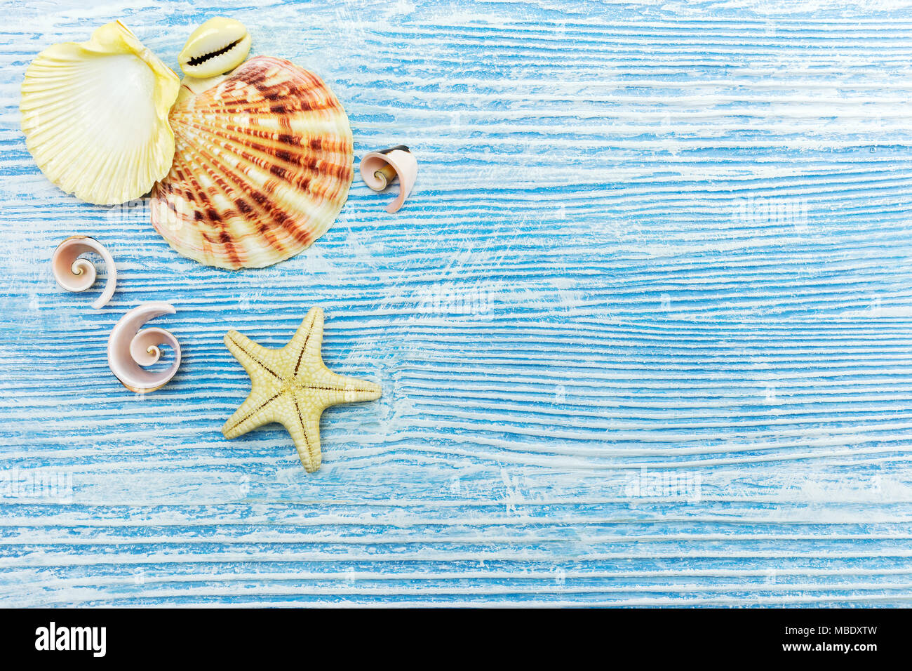 summer holiday blue wooden background with various sea shells, top view ...