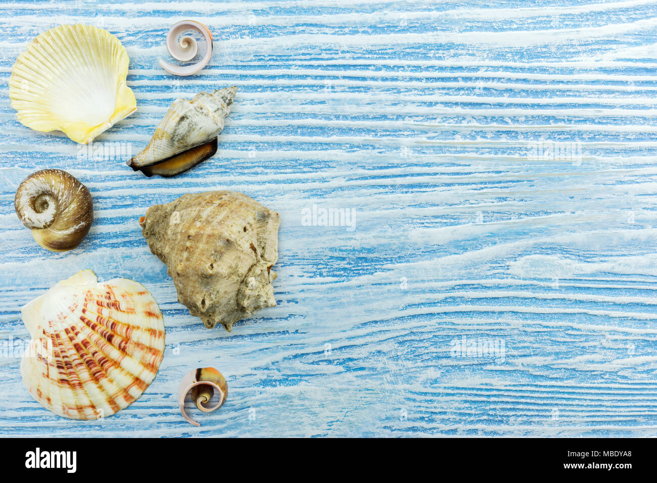 lots of different seashells on blue wooden background. summer traveling ...