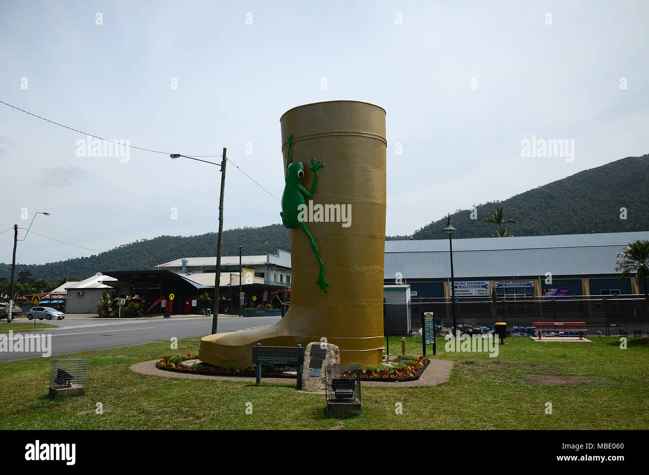 Golden gumboot australia hi-res stock photography and images - Alamy