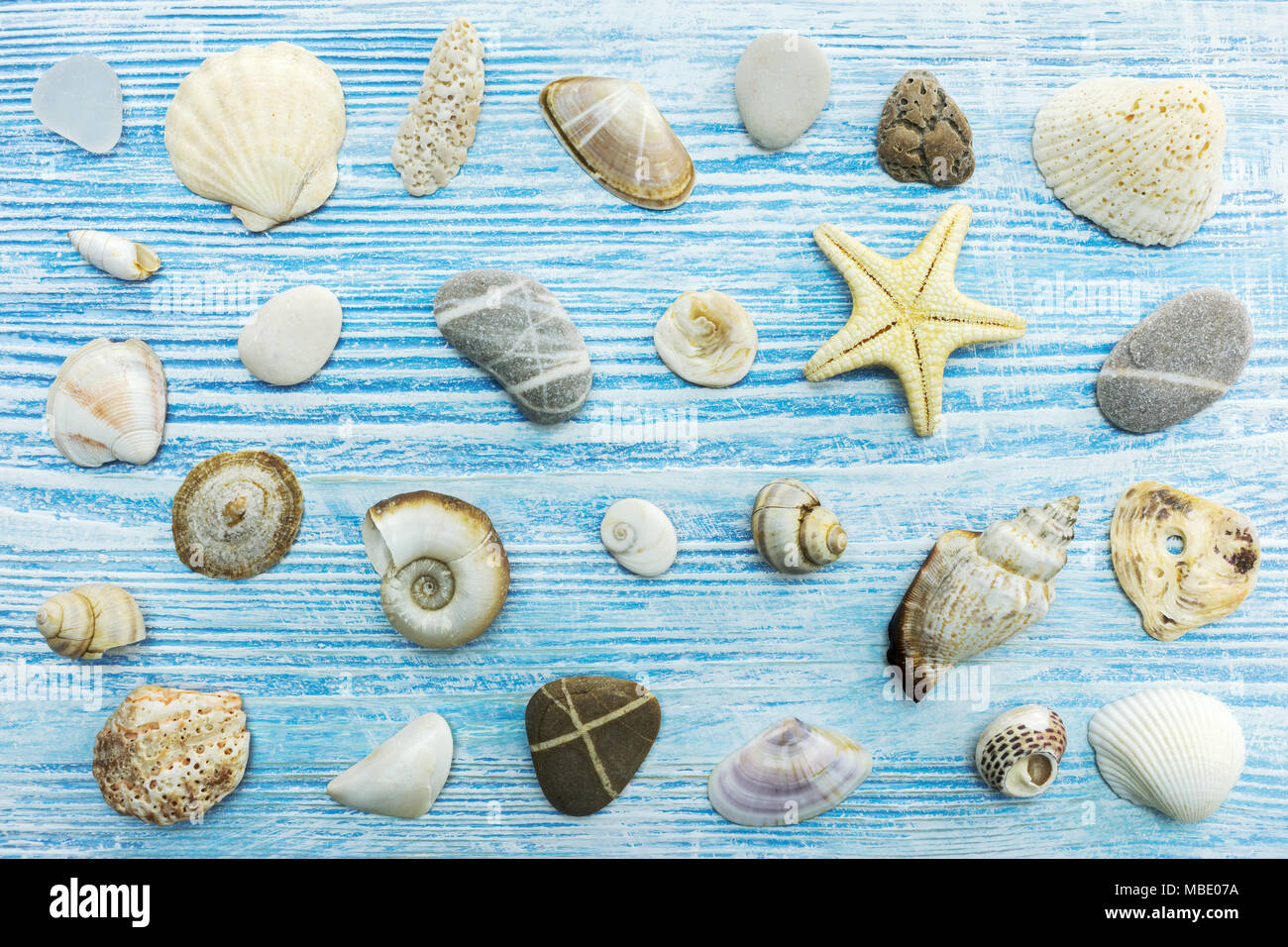 set of various sea shells on blue painted wooden shabby background ...