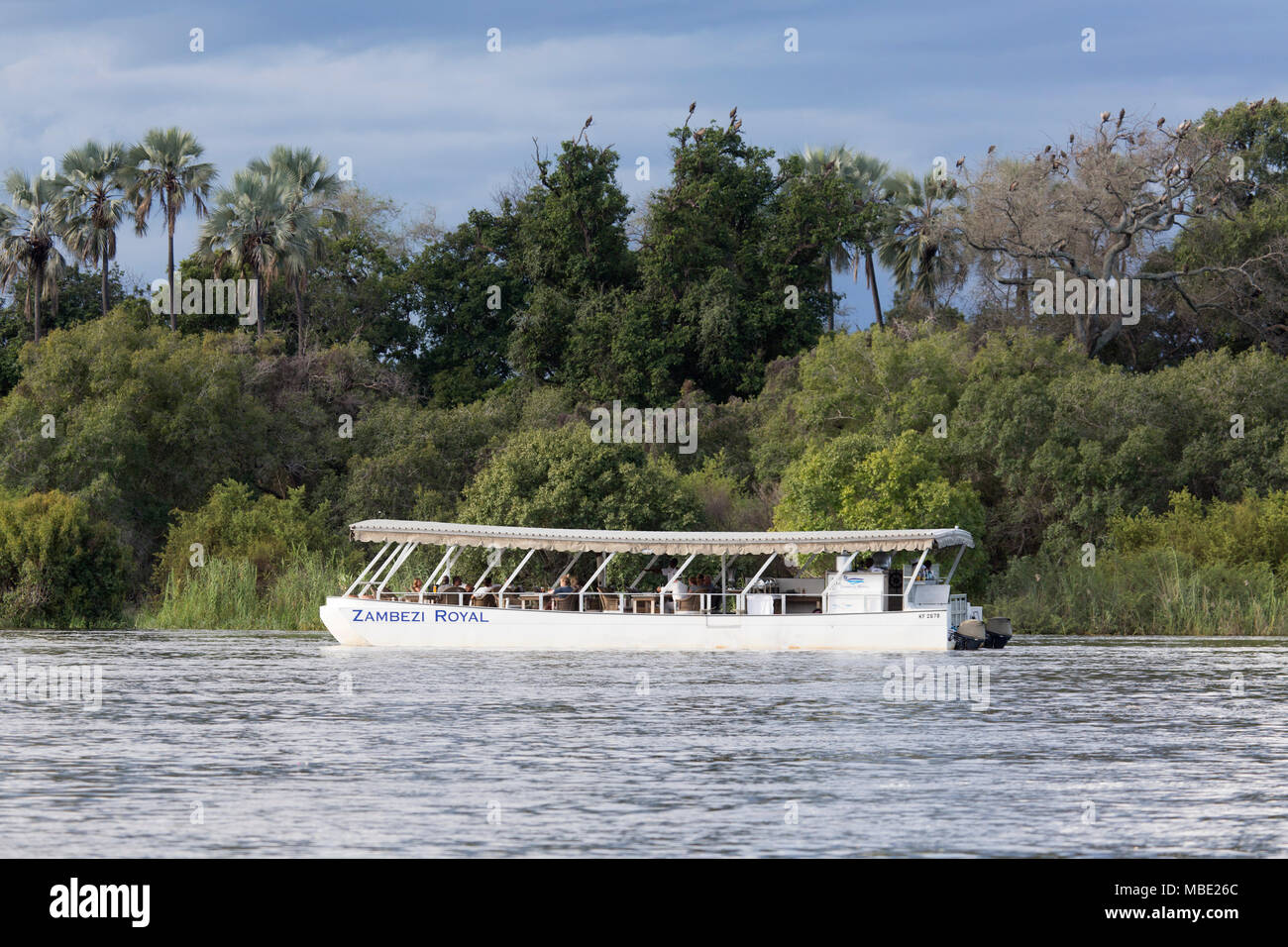 A boat during a sunset cruise on the Zambezi River near Victoria Falls ...