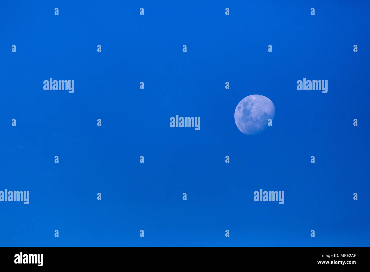 The moon seen from the Zambezi River (not in frame) in Zimbabwe. The ...