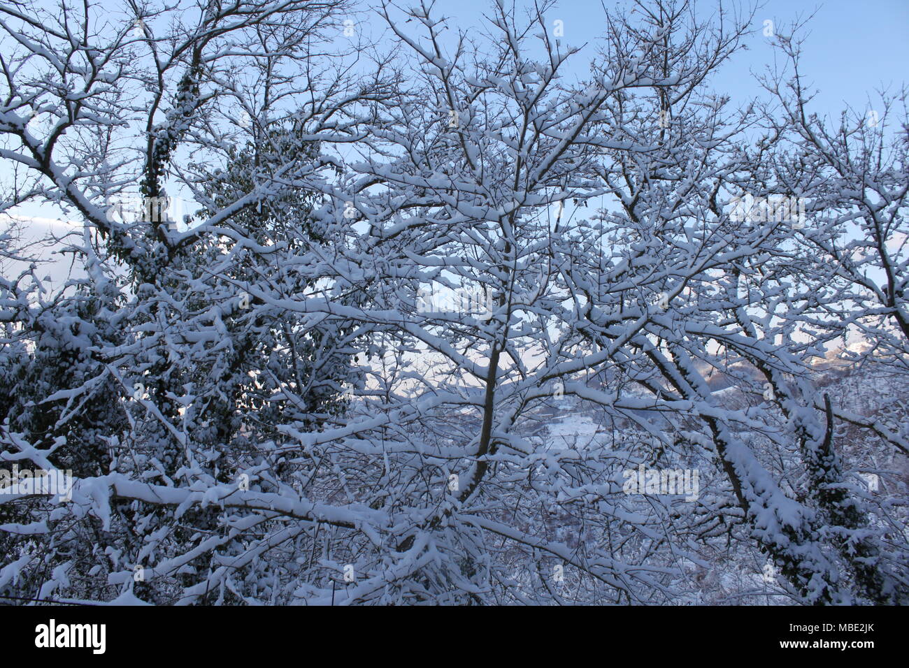 Snow covers trees, mountains, bushes and roads, creating a wonderful ...