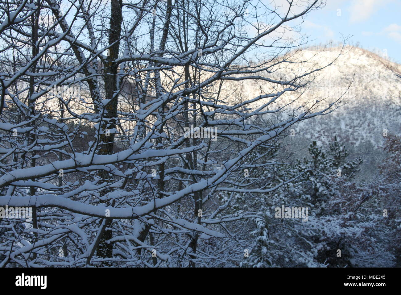 Snow covers trees, mountains, bushes and roads, creating a wonderful ...
