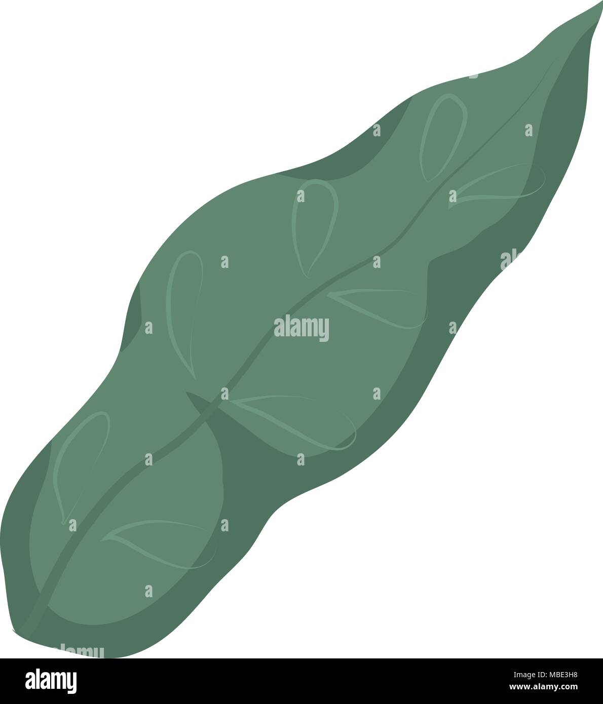 nature leaf of palm tree design Stock Vector Image & Art - Alamy