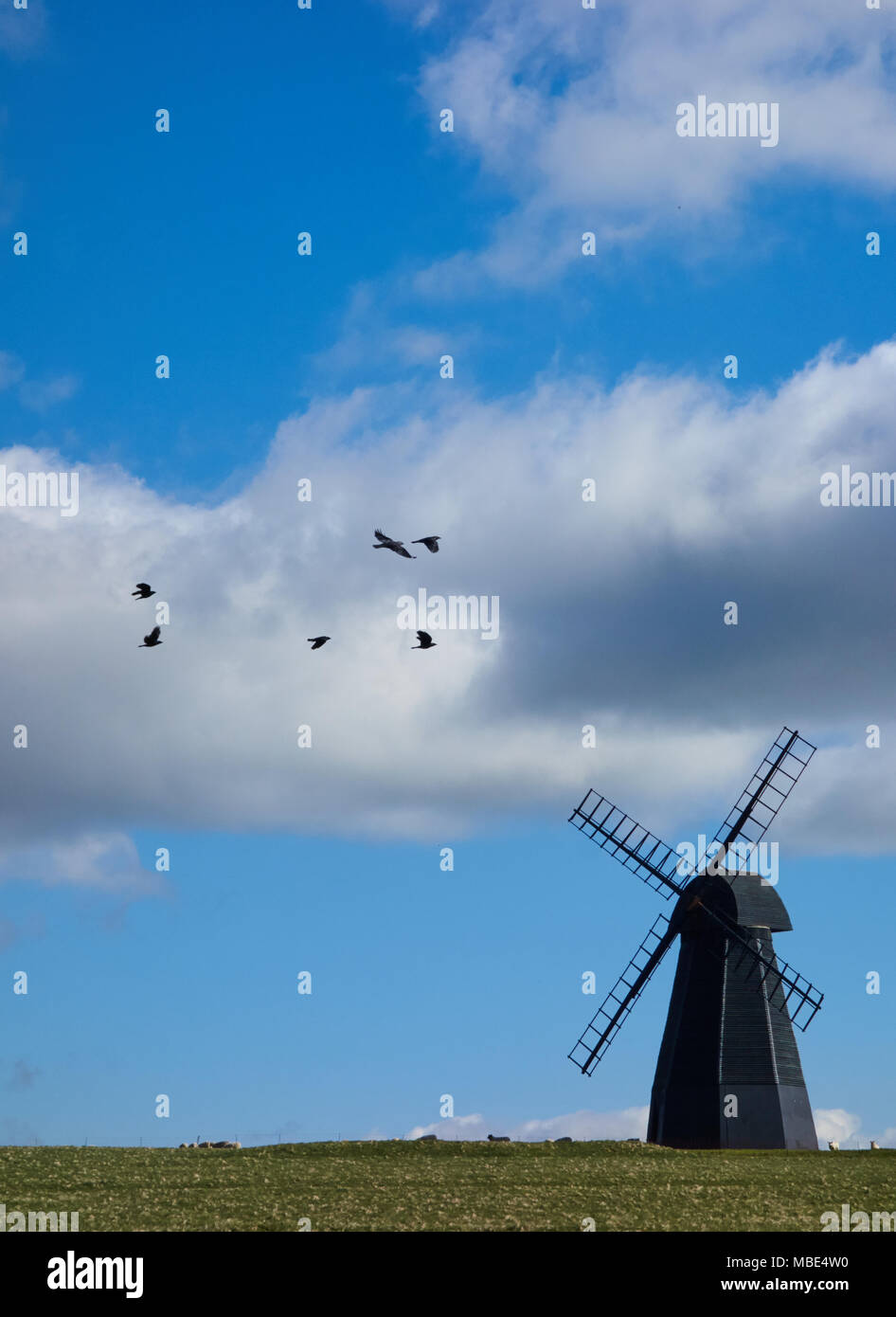 Black wooden Windmill atop the hill west of Rottingdean, Brighton, UK ...