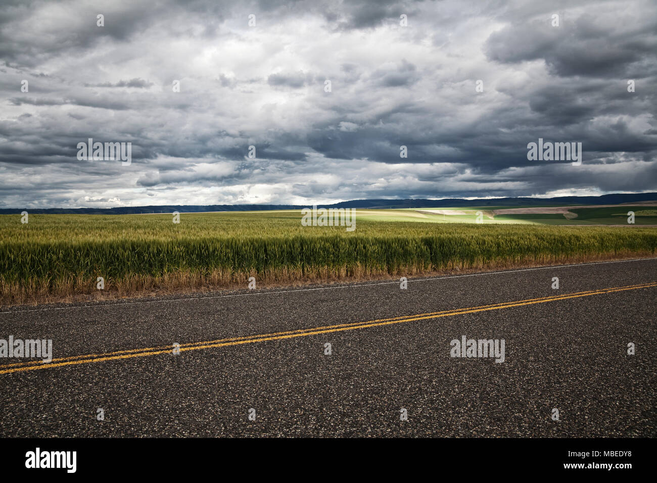 Wheat field areas of eastern Washington, USA Stock Photo - Alamy