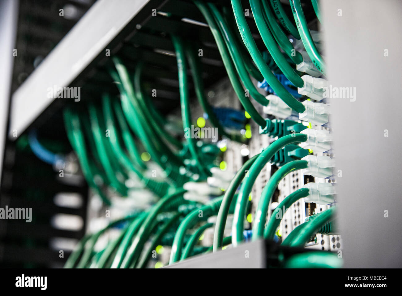 Cat 5 cables hooked to servers in a computer server farm Stock Photo ...