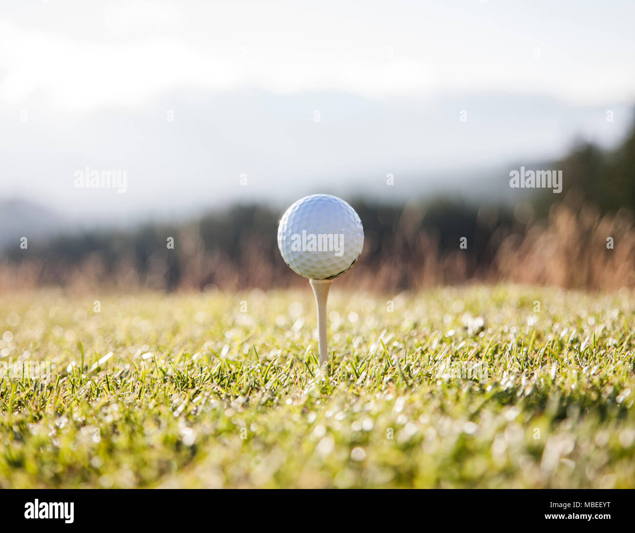 A golf ball on a tee ready to be hit Stock Photo - Alamy