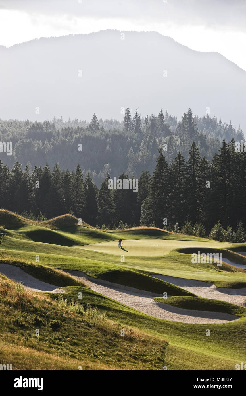 A view from a distance of a single golfer on a greeen of a golf course ...
