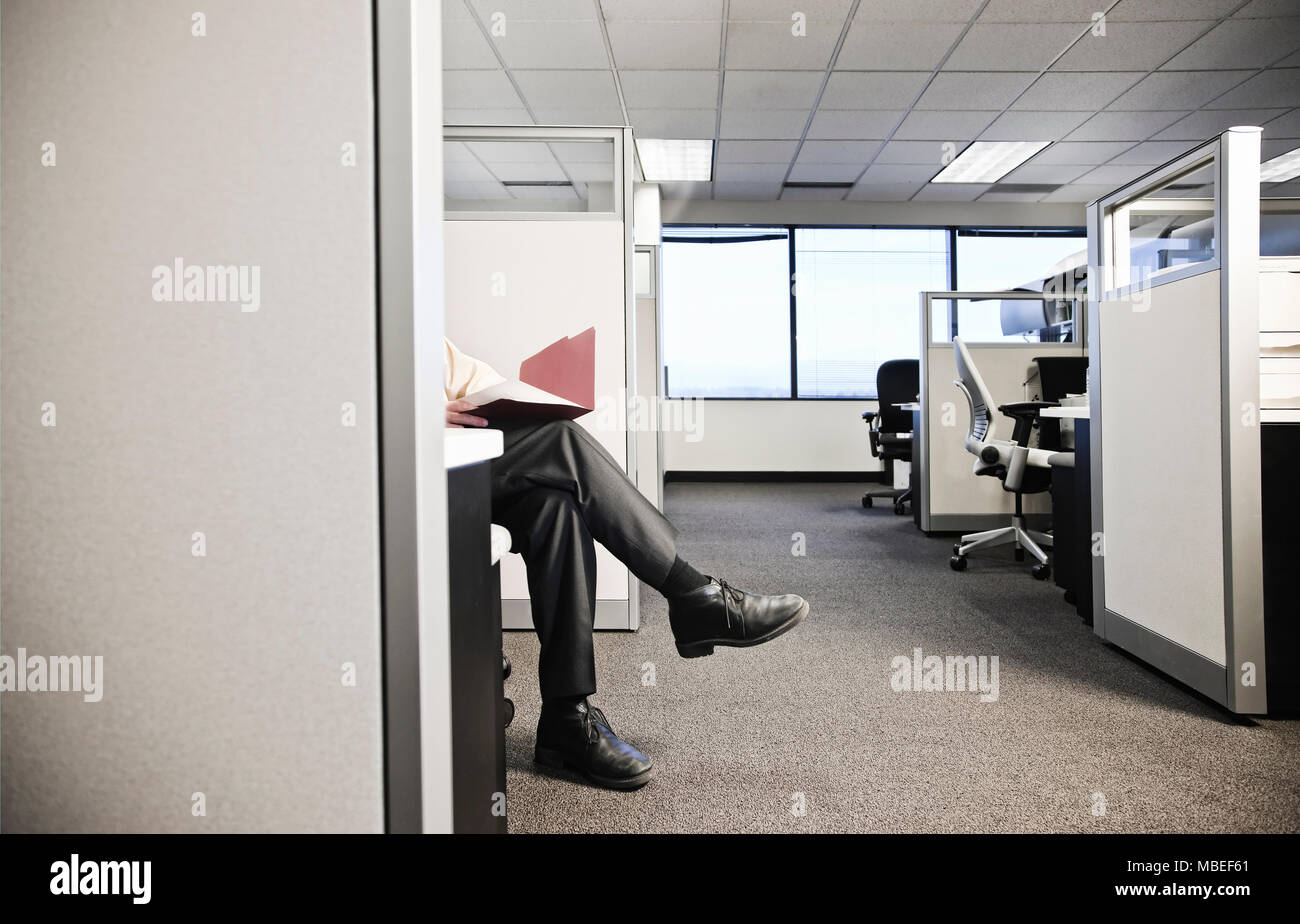 Cubicle office set up with business person going over paperwork Stock ...