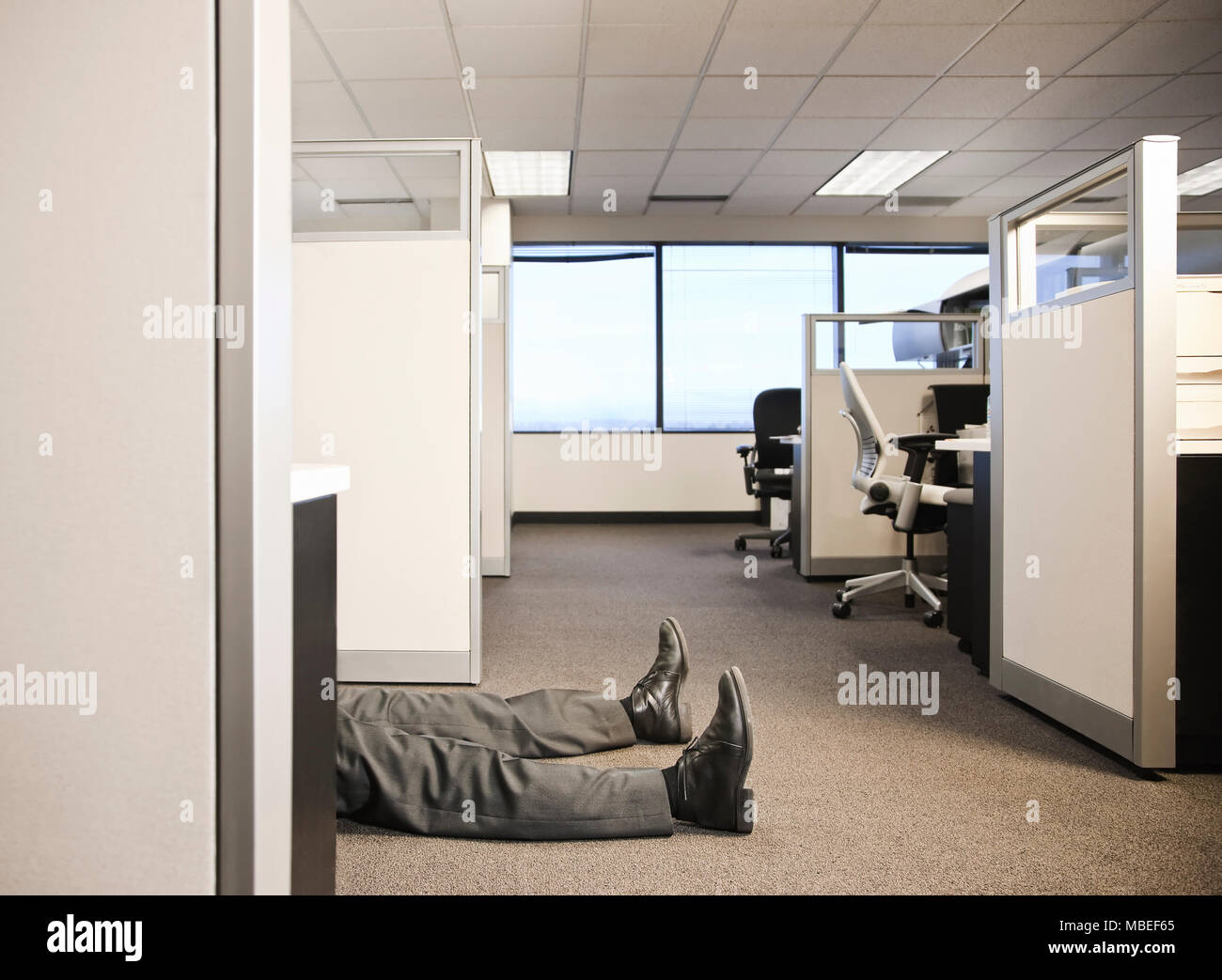 Cubicle office set up with business person laying on the floor Stock ...