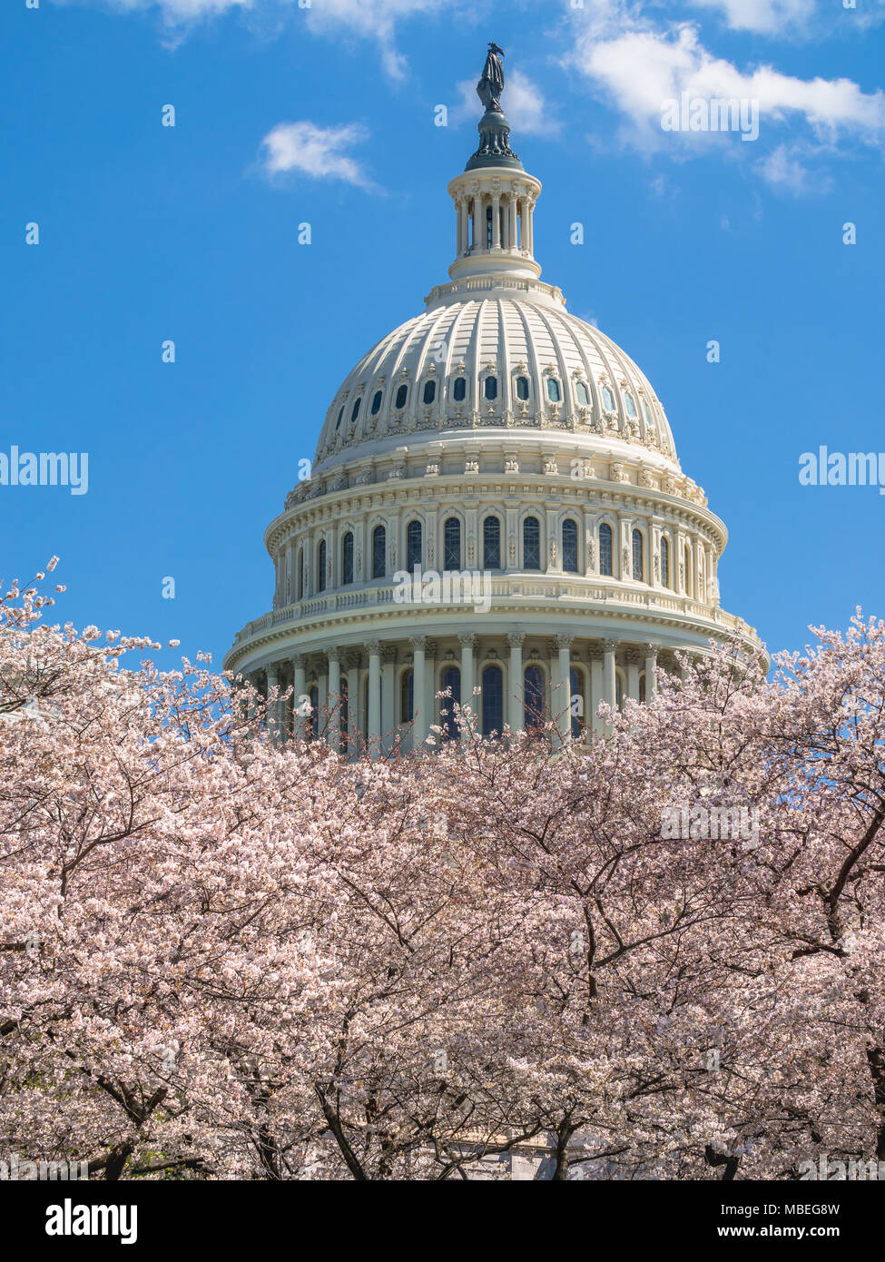 Capitol dome history hi-res stock photography and images - Alamy