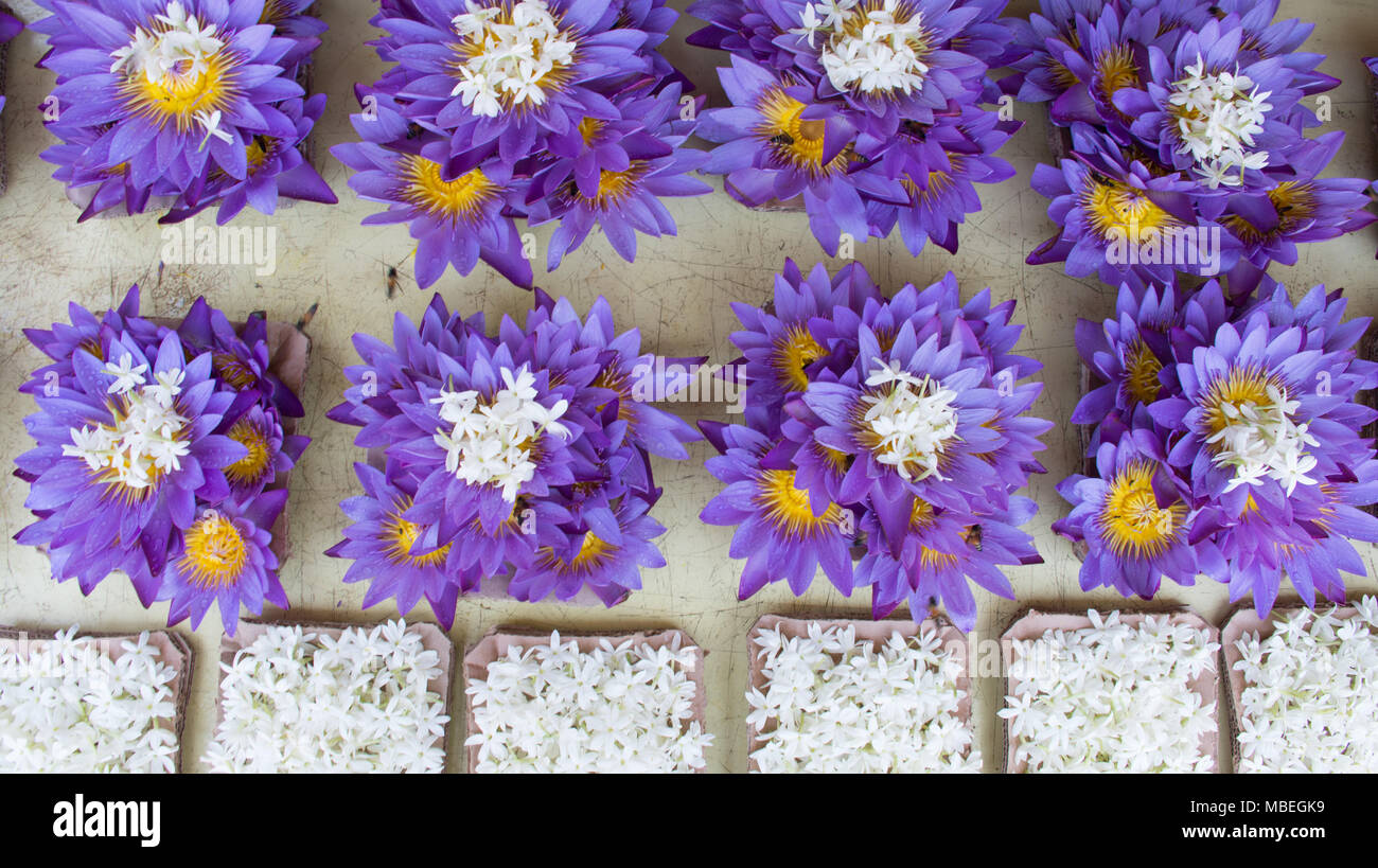 Flowers on sale outside the Temple of the Sacred Tooth Relic, Kandy ...