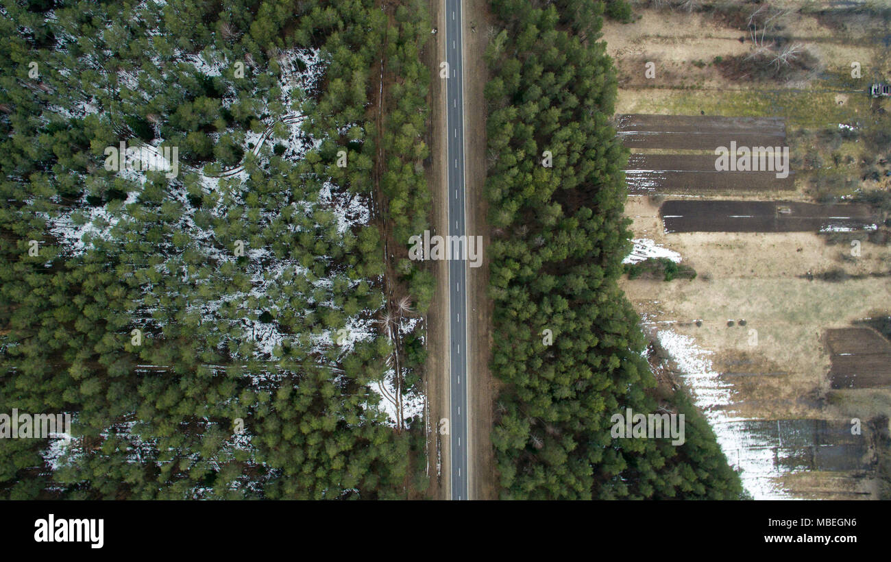 The landscape of a green forest and road from asphalt. The spring ...